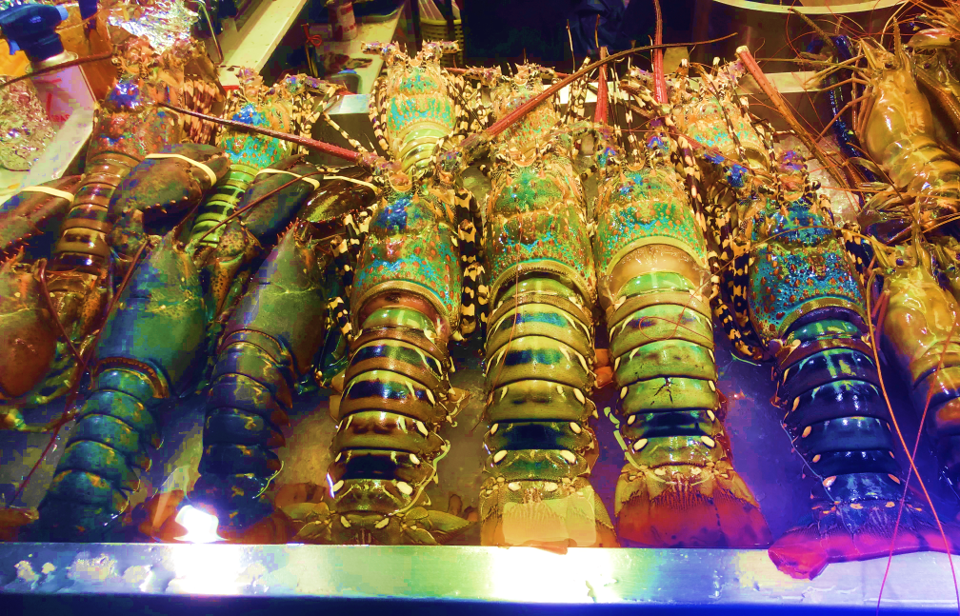 Never Gonna Give You Sanctuary - Cytoid