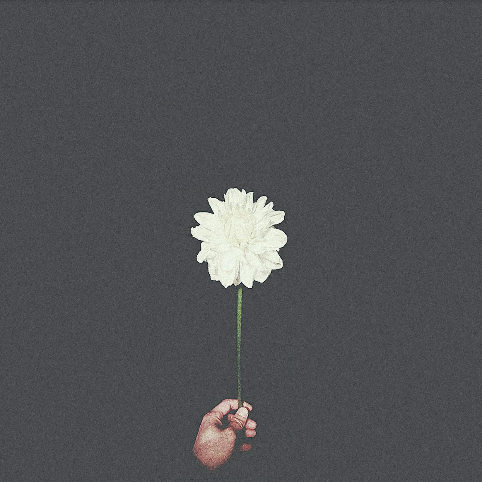 叆叇 - Cytoid
