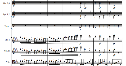 Beethoven Symphony No.3 "Eroica", Movement 1 - Cytoid