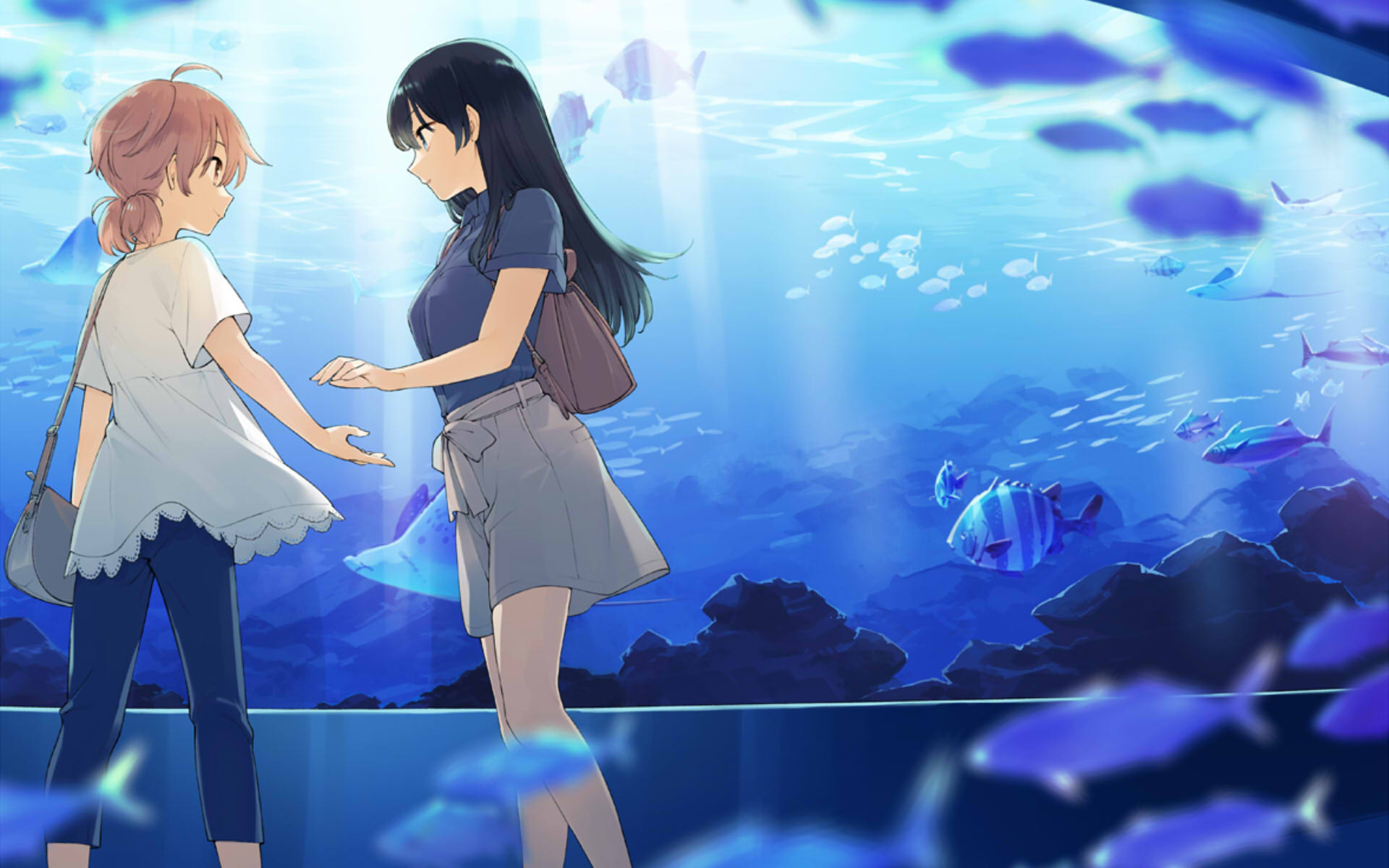 Hectopascal - Cytoid